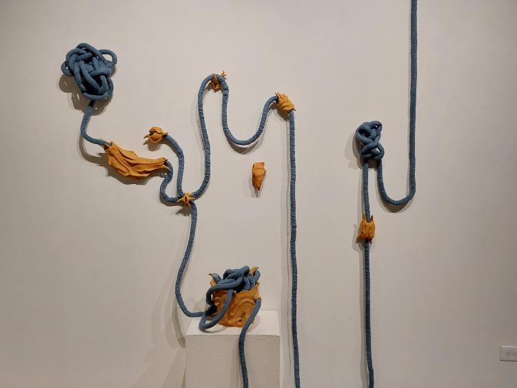 Shared Visions - Virtual Show | Arapahoe Community College